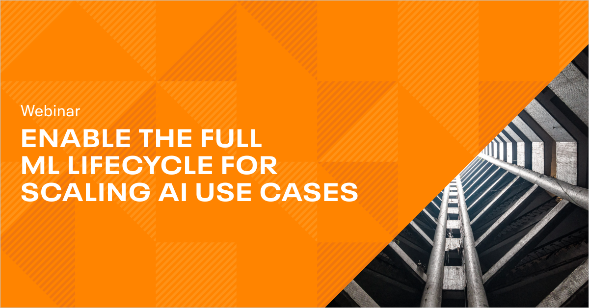 Enable The Full ML Lifecycle For Scaling AI Use Cases